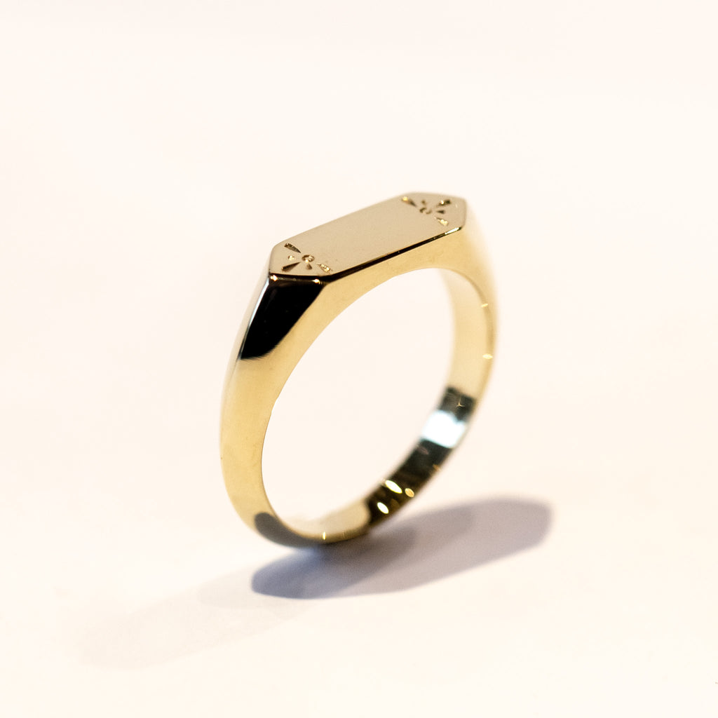 Ariel Gordon | Lateral Signet Ring – LAPIS